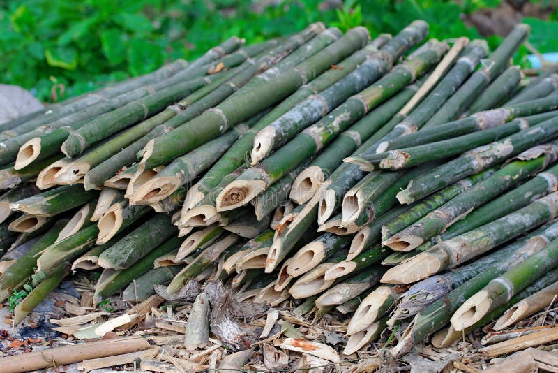 Productivity Bamboo Canes Cut into Pieces To Hone Sharp End . Stock ...