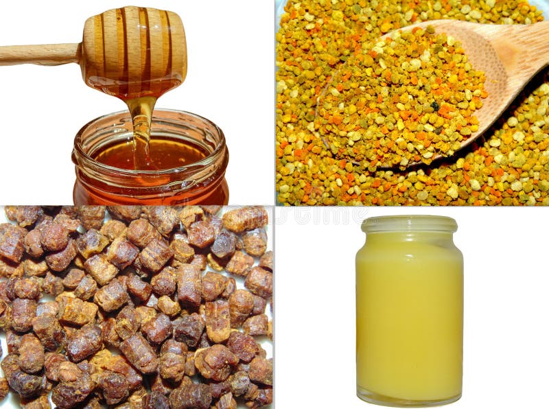 Products of the Beehive: Honey, Pollen, Bee Bread, Royal Jelly Stock ...