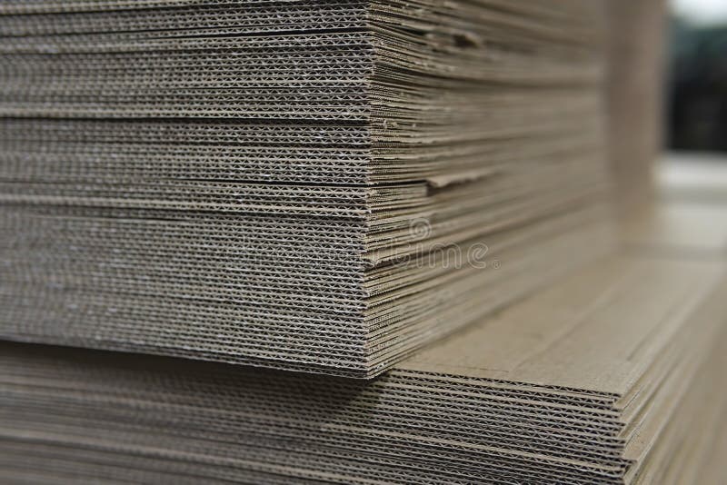 Products and Corrugated Cardboard. Factory for the Manufacture and ...