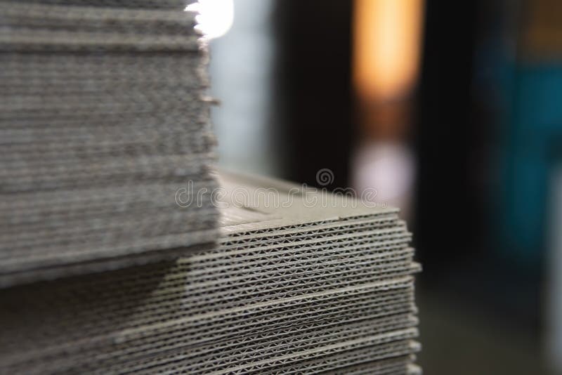 Products and Corrugated Cardboard. Factory for the Manufacture and ...