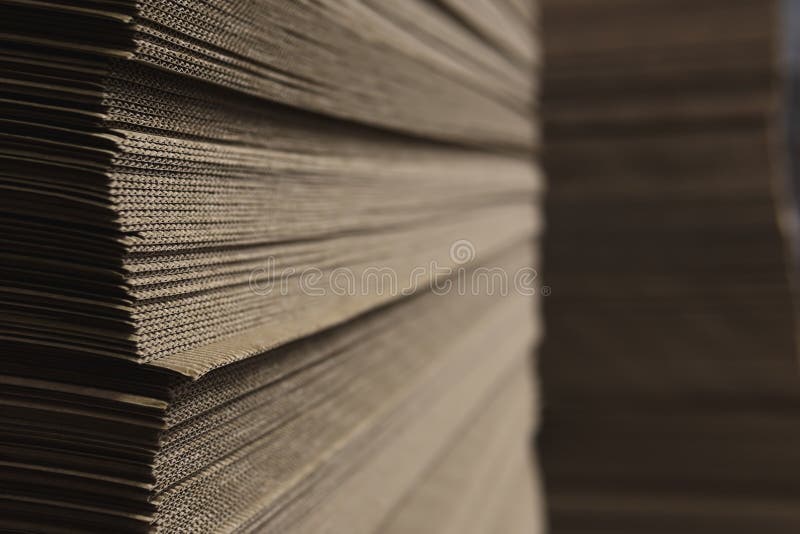Products and Corrugated Cardboard. Factory for the Manufacture and ...