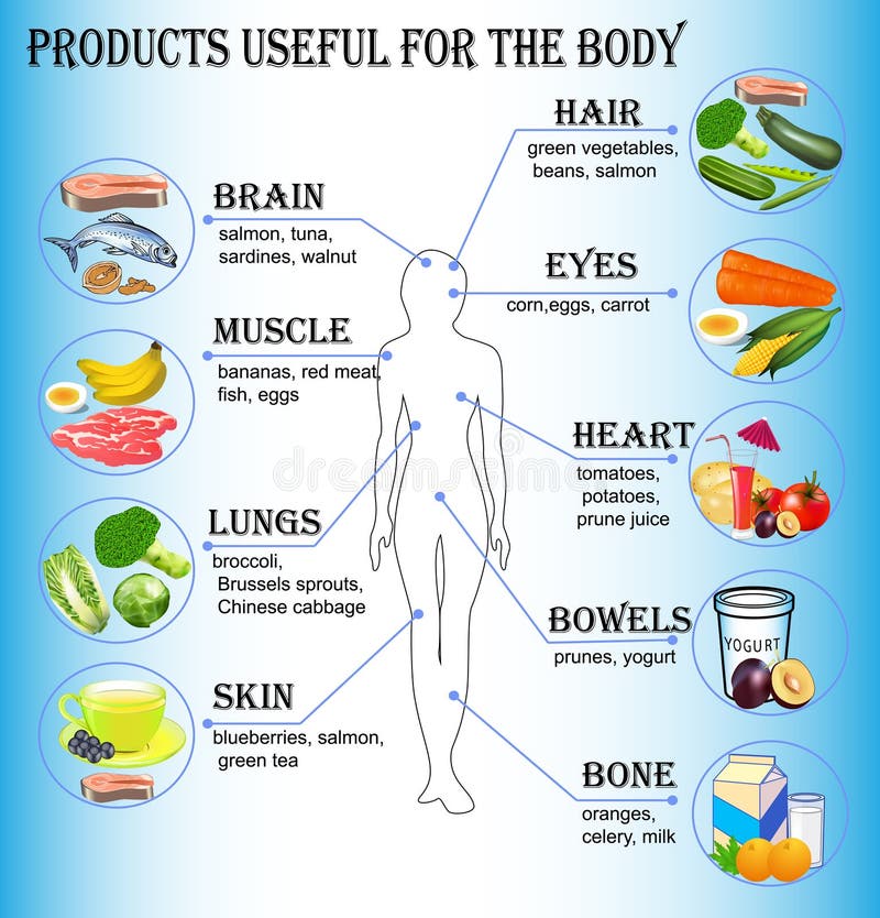 Healthy Lifestyle and Destructive Life Stock Vector - Illustration of ...