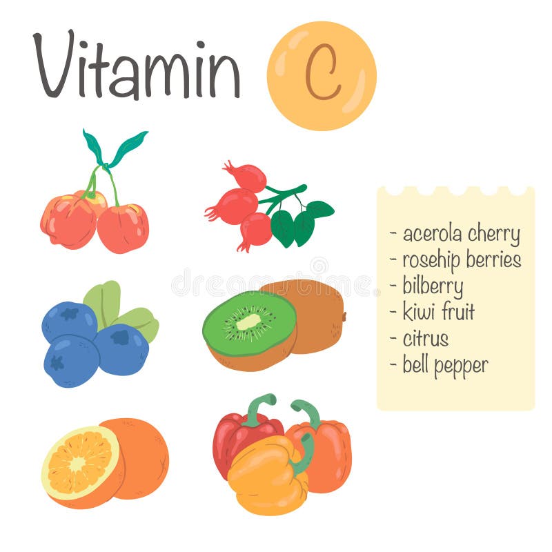 Produkte, Die Kalzium Enthalten Stock Abbildung - Illustration von ...