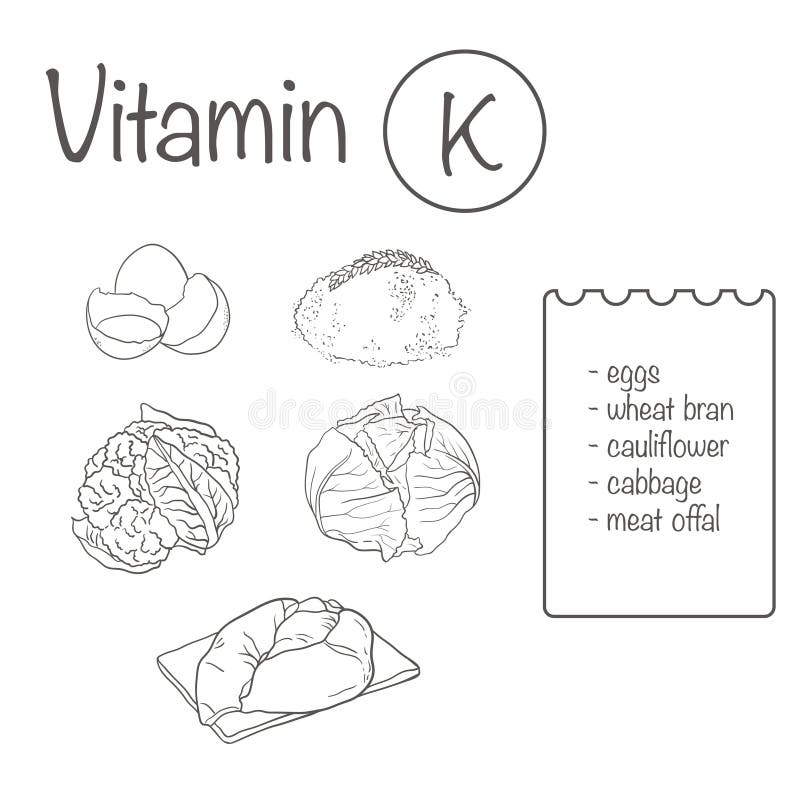 Produkte, Die Kalzium Enthalten Stock Abbildung - Illustration von ...