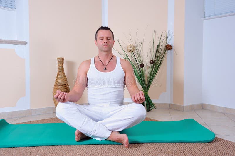 Profesores de la yoga imagen de archivo. Imagen de aptitud - 17557093