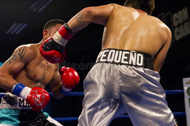 Amateur Boxing editorial photography. Image of headgear - 28021612