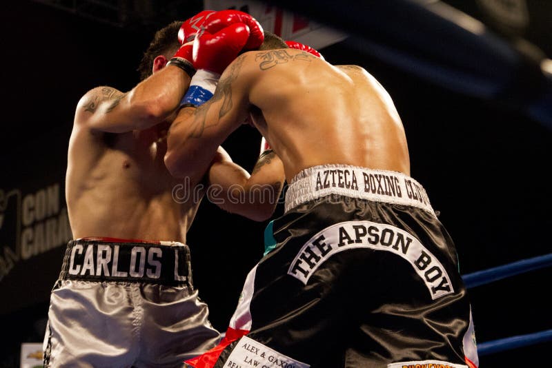 Amateur Boxing editorial photography. Image of headgear - 28021612