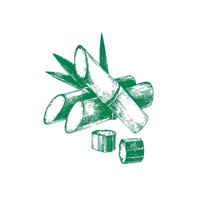 Professional Bamboo Icon Vector Image Stock Vector - Illustration of ...