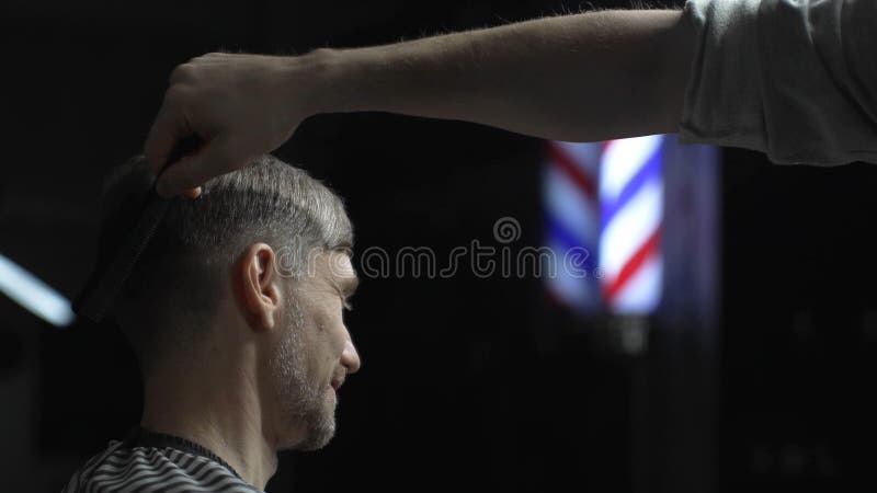 Professional Barber Carefully Checking Customer& X27;s Hair Texture and ...