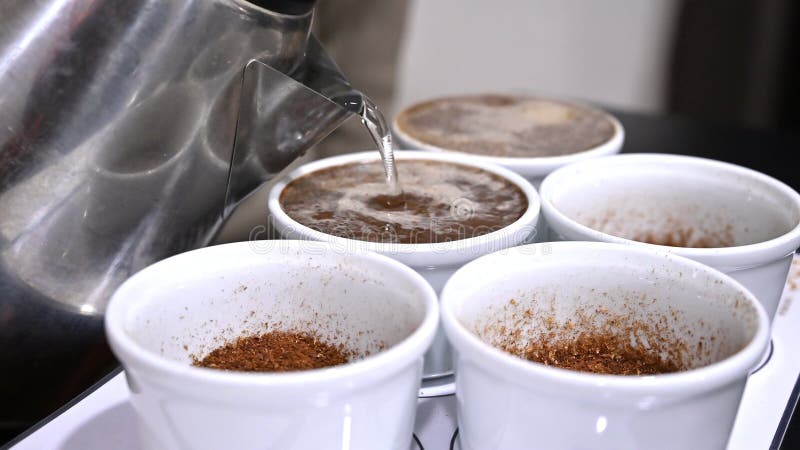 Professional Barista Tasting Different Types of Coffee in Cup Tasters ...