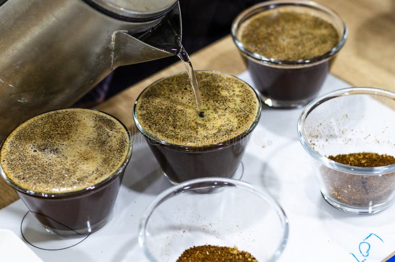 Professional Barista Testing the Taste of a New Coffee. Stock Image ...