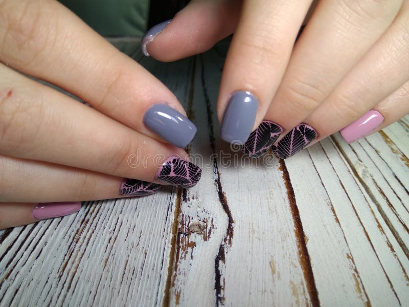 Professional Beautiful Manicure Stock Image - Image of french, salon ...