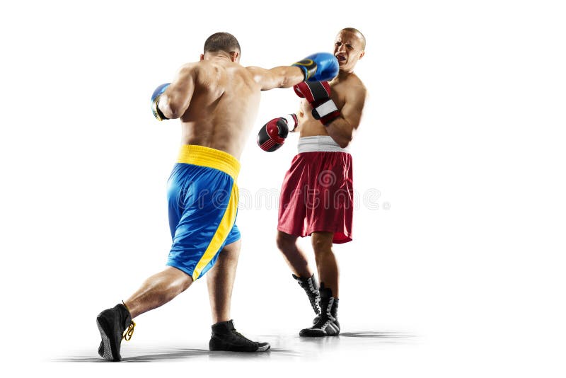 2 Two Professional Box Figters on the Grand Ring Stock Photo - Image of ...