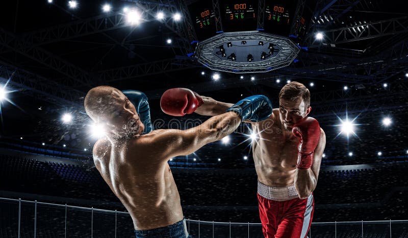 Professional Box Match . Mixed Media Stock Photo - Image of boxing ...
