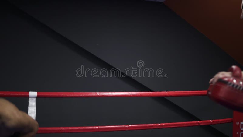 A Professional Boxer and His Coach Work on the Boxing Paws in the Ring ...