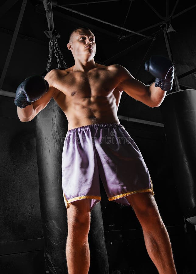 The Professional Boxer Stands in the Fighting Stance Stock Image ...