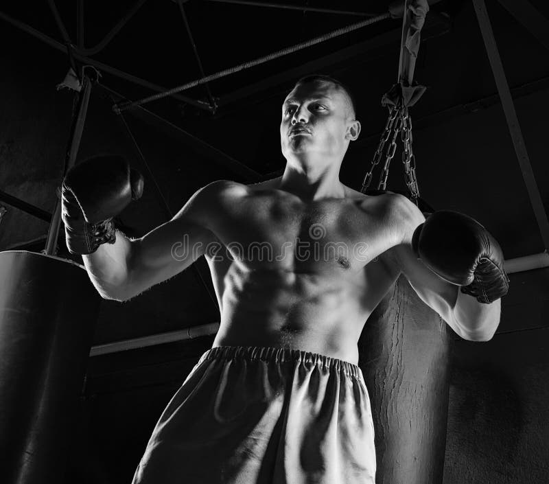 The Professional Boxer Stands in the Fighting Stance Stock Photo ...
