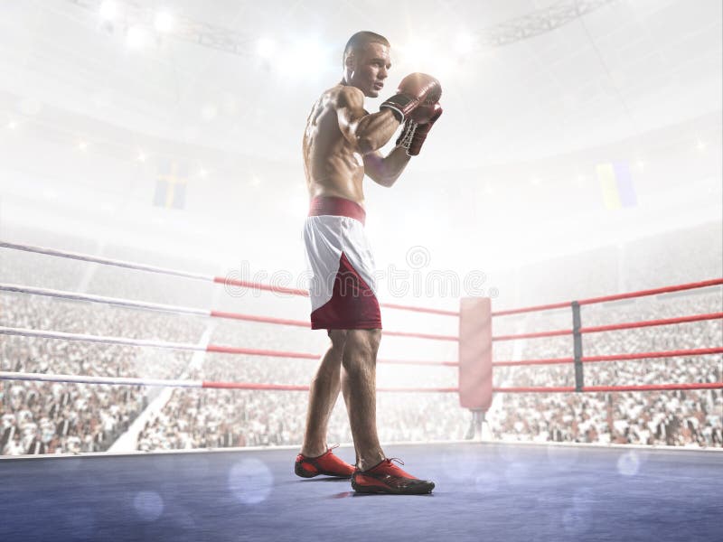 Professional Boxer is Training on the Grand Arena Stock Photo - Image ...
