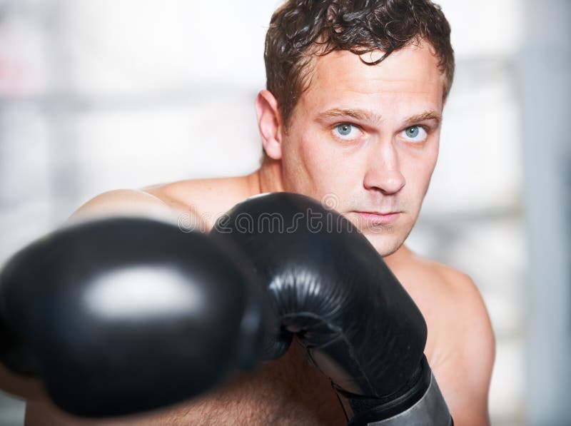 Boxer Throwing Punch Camera Stock Photos - Free & Royalty-Free Stock ...