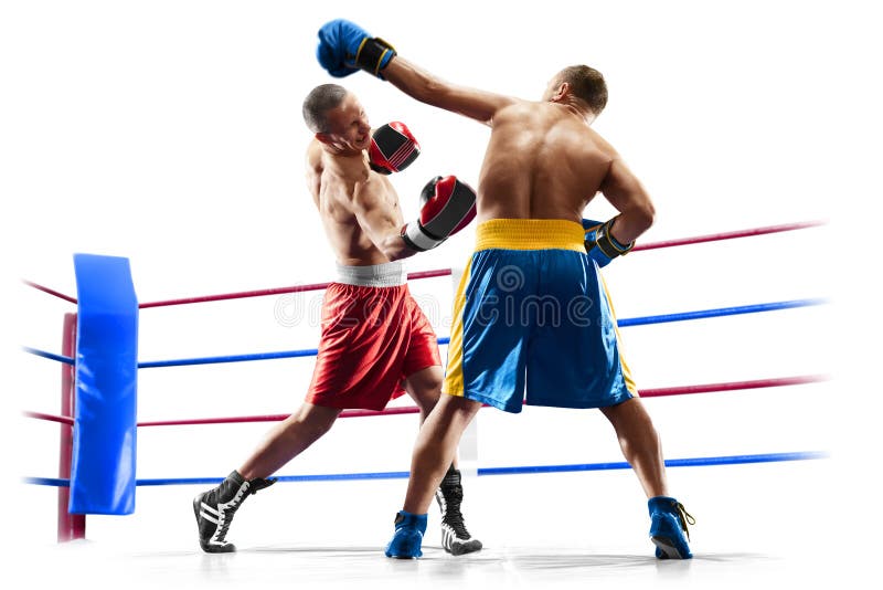 Two Professional Boxers Training at the Gym Stock Photo - Image of ...