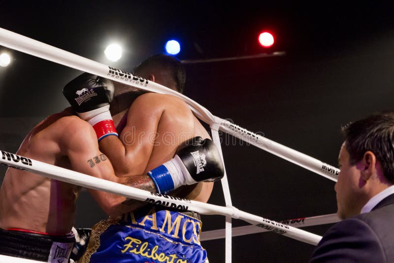 Professional Boxing Against The Ropes Editorial Image - Image: 28194325