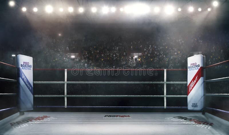 Empty Mma Arena Side View Under Lights. Complete Tribune. Stock Image ...