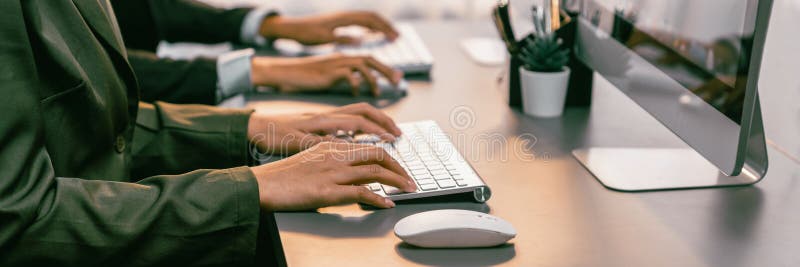 Professional Business People Working on Computer in Office. Prodigy ...