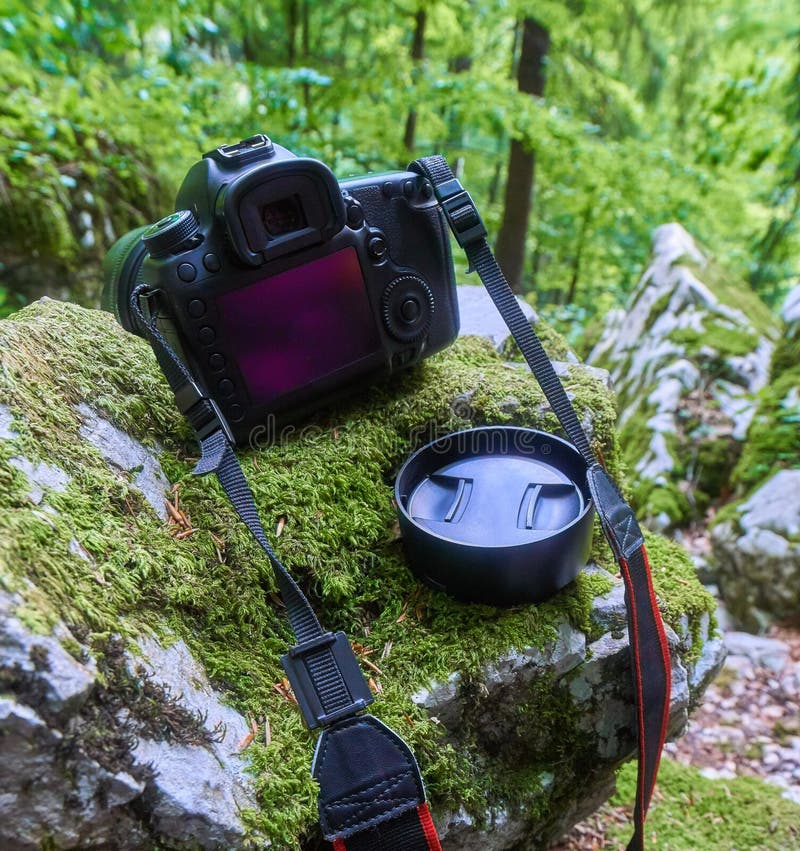 Professional Camera in the Forest Stock Photo - Image of exploration ...