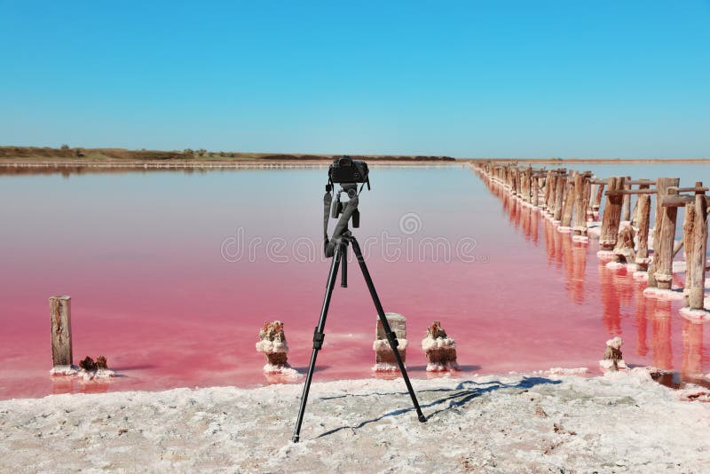 Professional Camera with Tripod Near Pink Stock Image - Image of ...