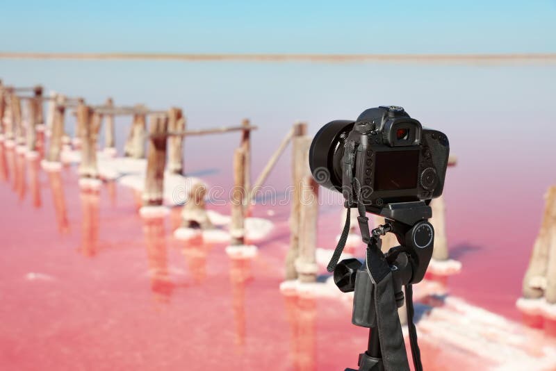 Professional Camera with Tripod Near Pink Stock Image - Image of ...