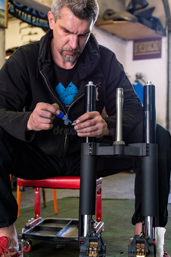 Professional Car Mechanic Working in Auto Repair Service. Stock Image ...