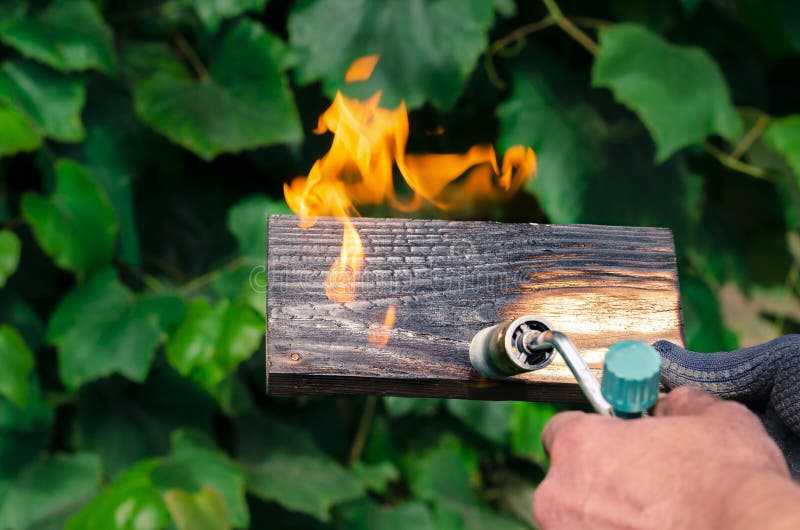Professional Carpenter Using Old Traditional Technique. Burning Wood ...