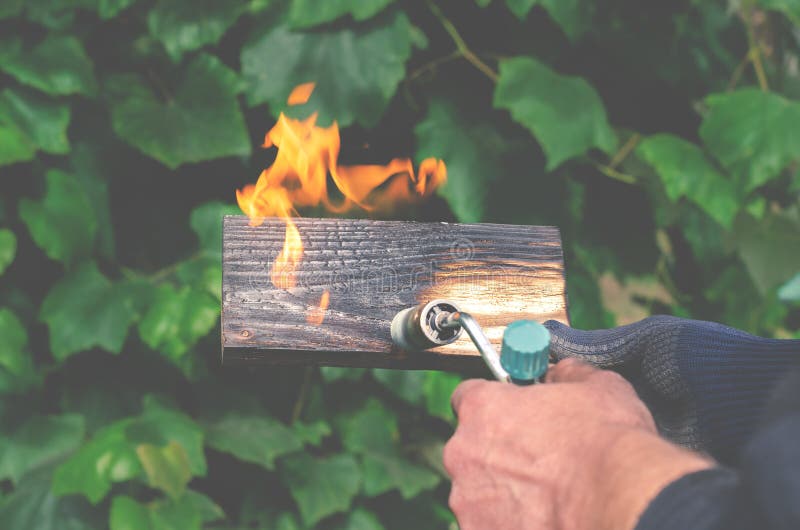 Professional Carpenter Using Old Traditional Technique. Burning Wood ...