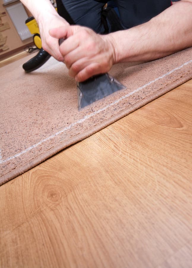 22+ Carpet cleaning Free Stock Photos - StockFreeImages