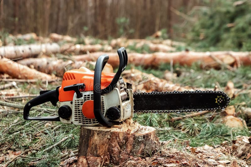 Professional Chainsaw Close Up, Logging. Cutting Down Trees, Forest ...