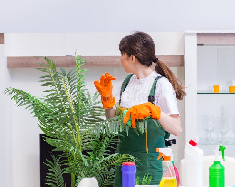 Professional Cleaning Contractor Working at Home Stock Photo - Image of ...