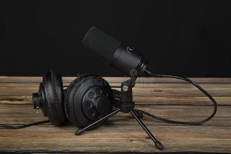 Professional Computer Microphone for Online Communication for Gamers ...