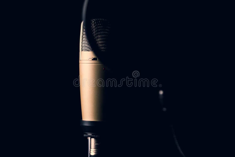 Professional Condenser Microphone with Pop Filter Stock Photo - Image ...