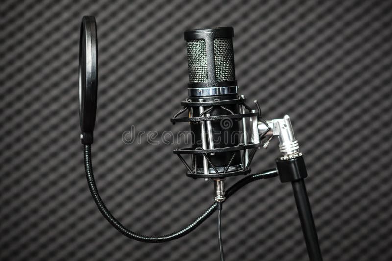 Professional Condenser Studio Microphone Stock Photo - Image of karaoke ...