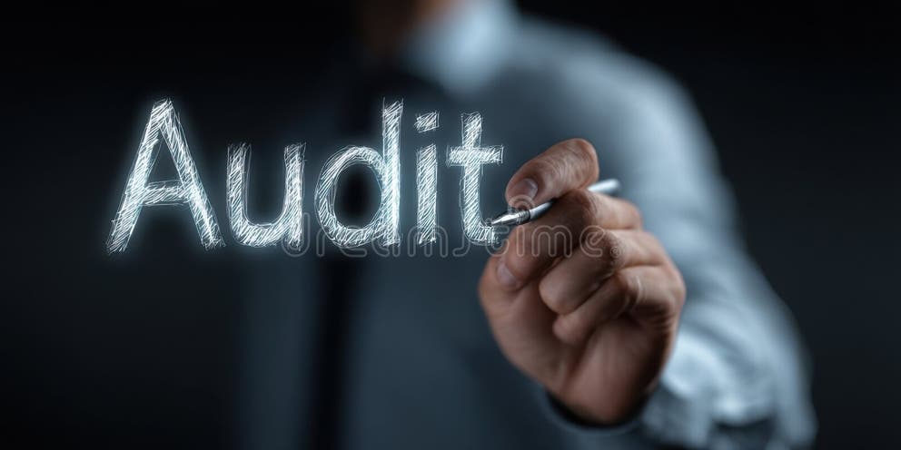 Professional Conducting Audit Process Using Digital Tools in Modern ...