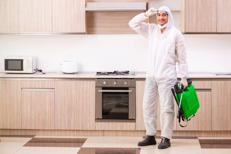 The Professional Contractor Doing Pest Control at Kitchen Stock Image ...