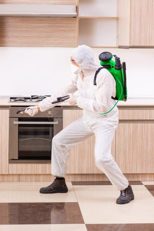 The Professional Contractor Doing Pest Control at Kitchen Stock Photo ...