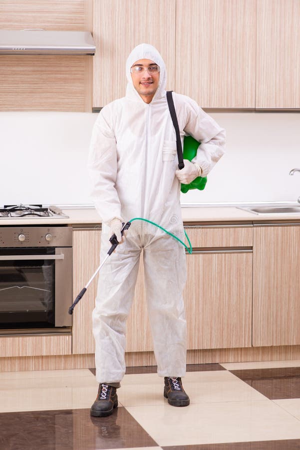 The Professional Contractor Doing Pest Control at Kitchen Stock Image ...