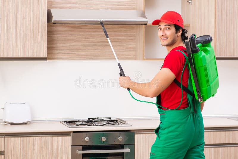 The Professional Contractor Doing Pest Control at Kitchen Stock Photo ...