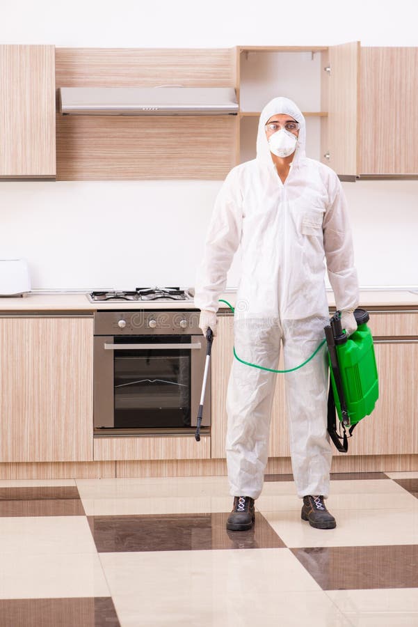 The Professional Contractor Doing Pest Control at Kitchen Stock Photo ...