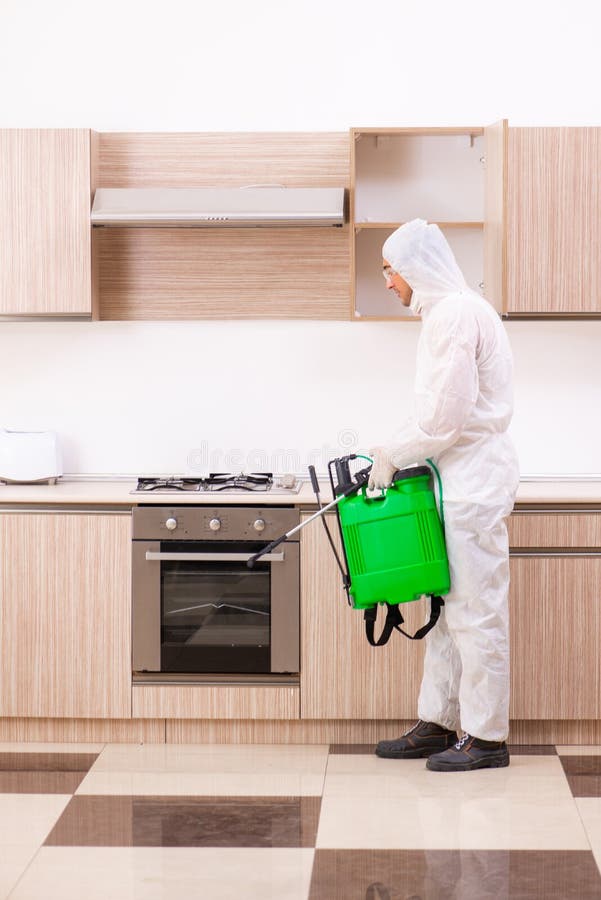 The Professional Contractor Doing Pest Control at Kitchen Stock Image ...