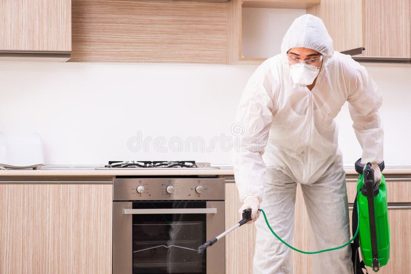 The Professional Contractor Doing Pest Control at Kitchen Stock Photo ...