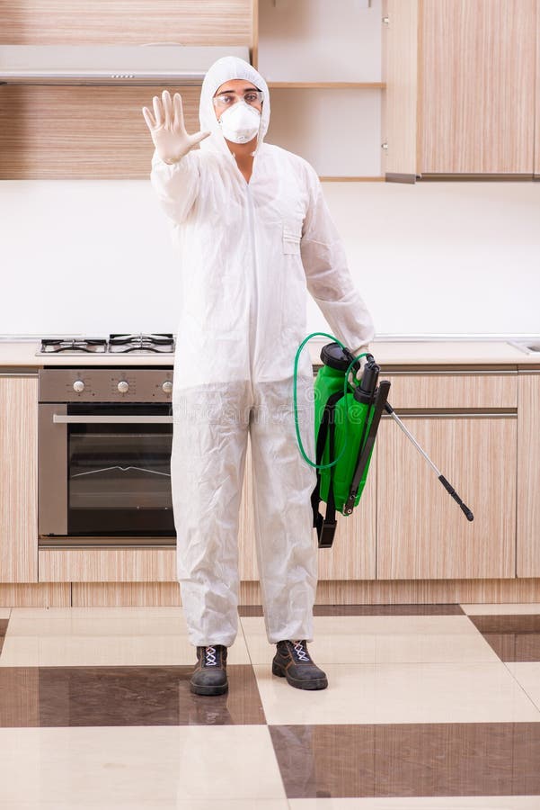 The Professional Contractor Doing Pest Control at Office Stock Photo ...