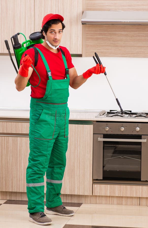 Professional Contractor Doing Pest Control at Kitchen Stock Photo ...