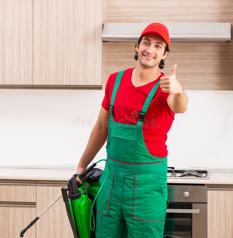 Professional Contractor Doing Pest Control at Kitchen Stock Image ...